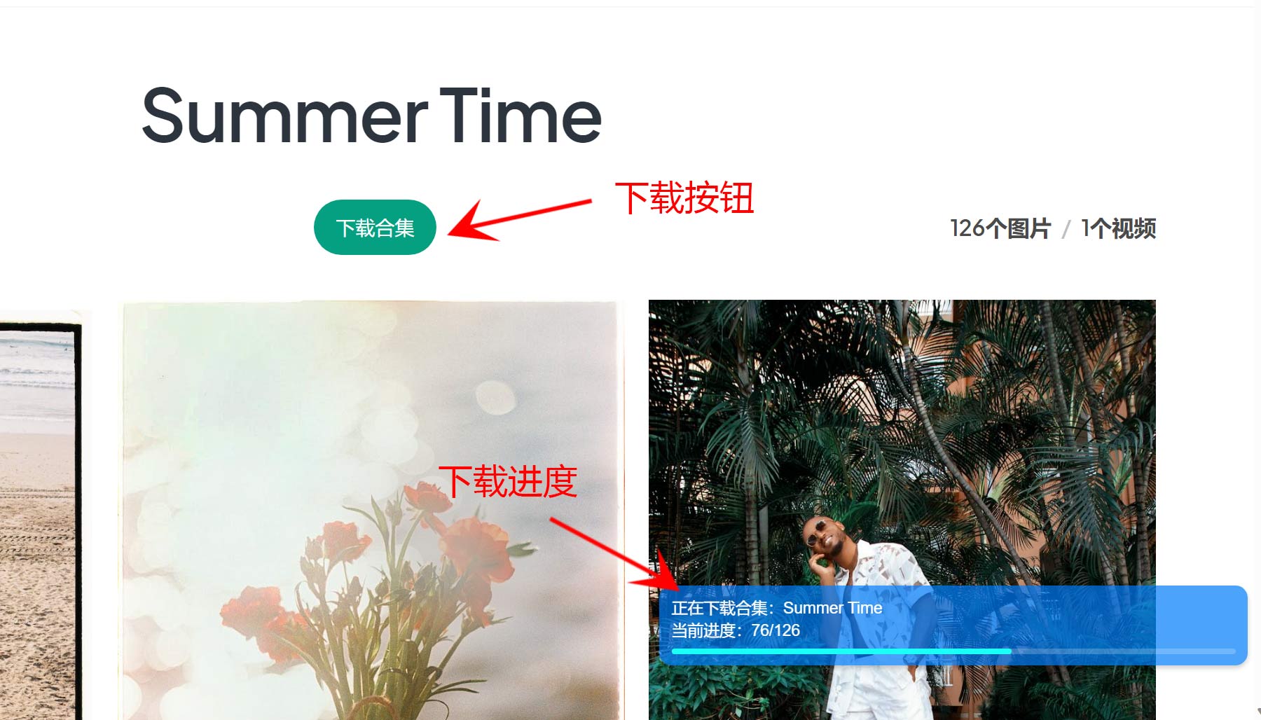Pexels合集下载器